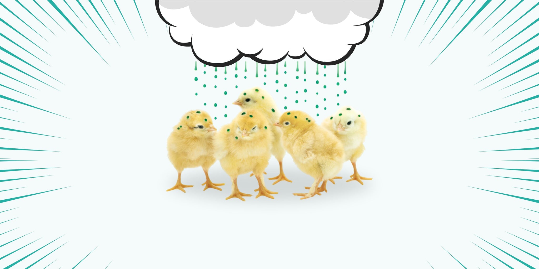 Browse all AquaDrop® products