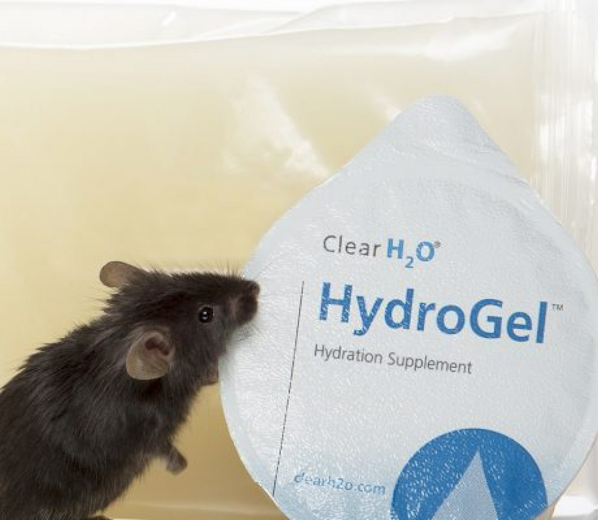 Hydration, Nutrition, and Medication Delivery for Animals | ClearH2O
